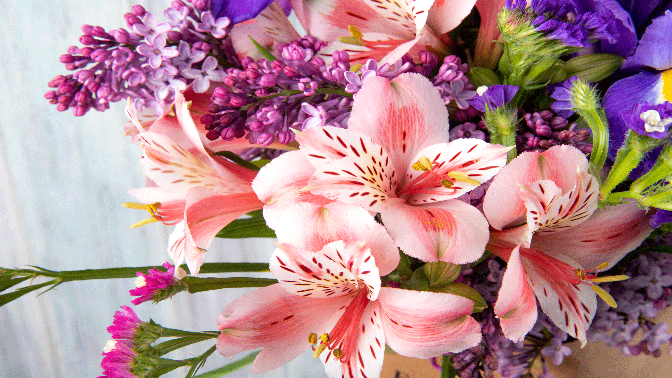 Arreglos Florales en Cajas en el Norte de Bogotá a Domicilio